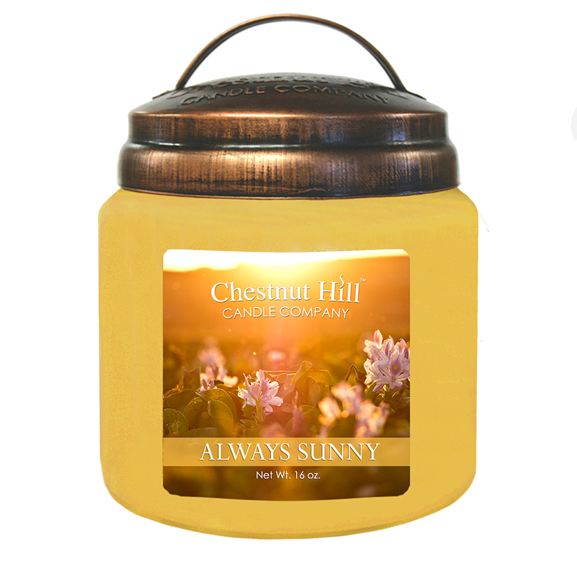 Always Sunny – 2 Wick 18 oz Soy Candle - Cactus Nectar and Aloe Scente ...