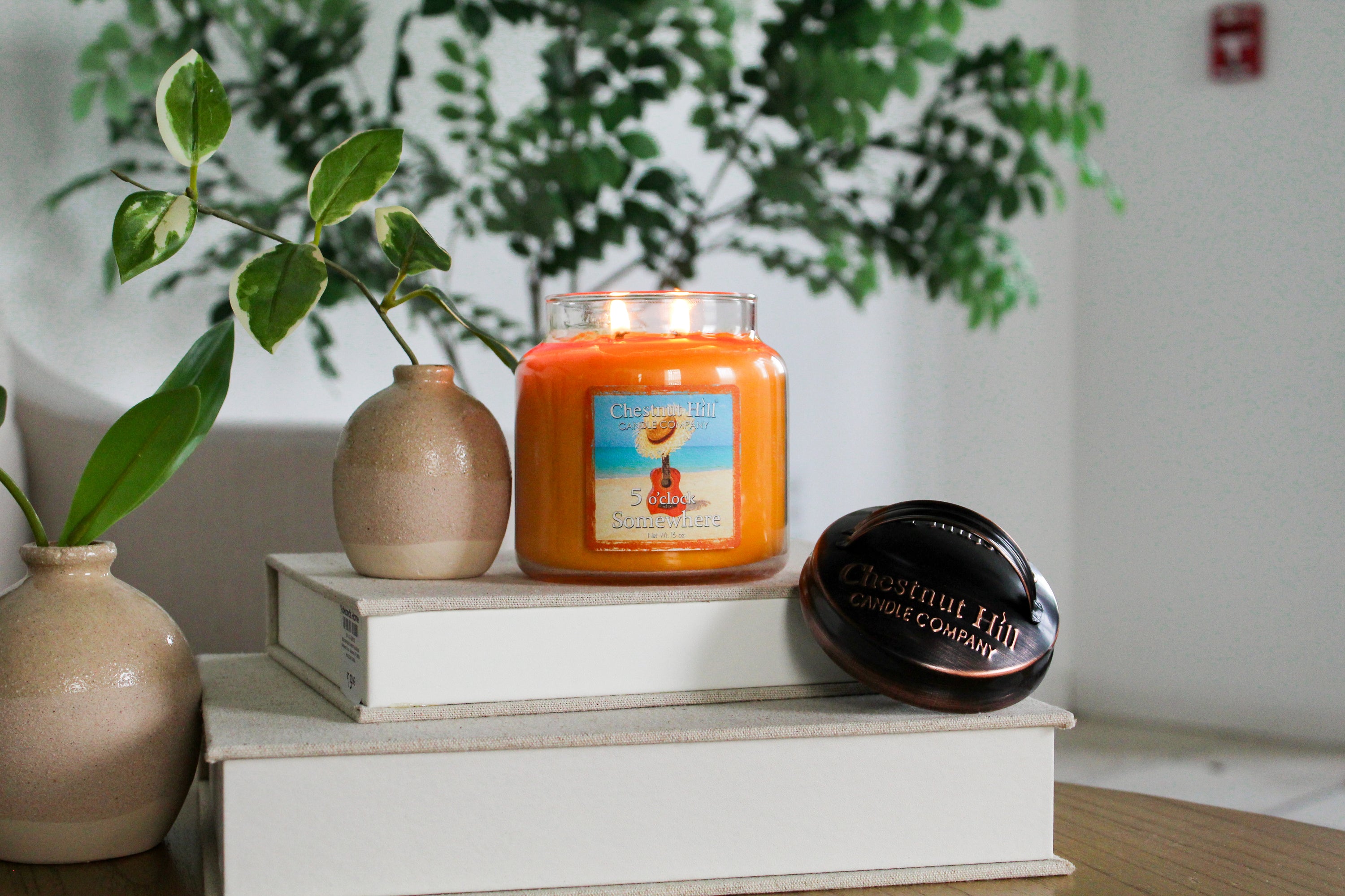 Chestnut Hill Candle: Premium Soy Candles, 100+ Fragrances – Chestnut ...